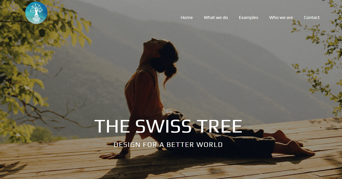 Diseño web y marketing digital | The Swiss Tree